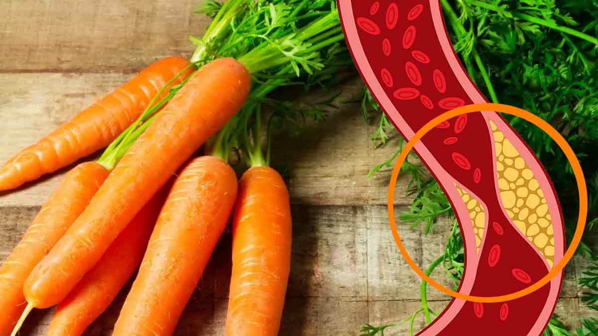 Qu'advient-il à ceux qui mangent deux carottes par jour avec un taux de ...