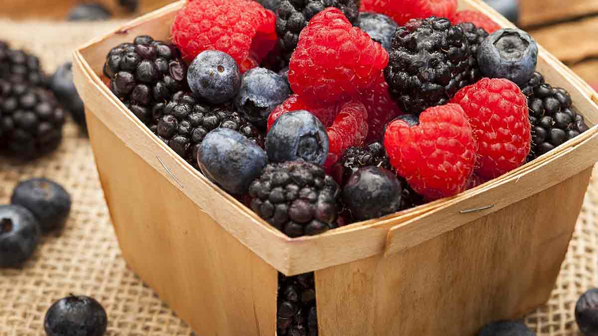 Quels sont les aliments les plus riches en antioxydants