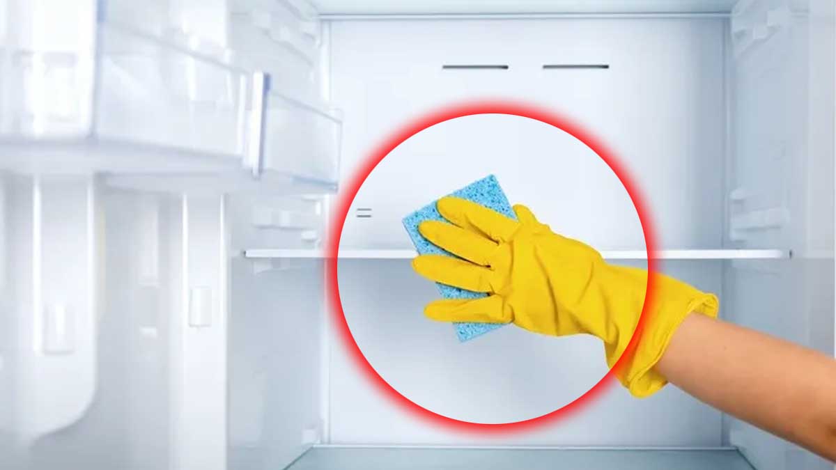 Un simple chiffon peut faire disparaître l’humidité dans votre ...