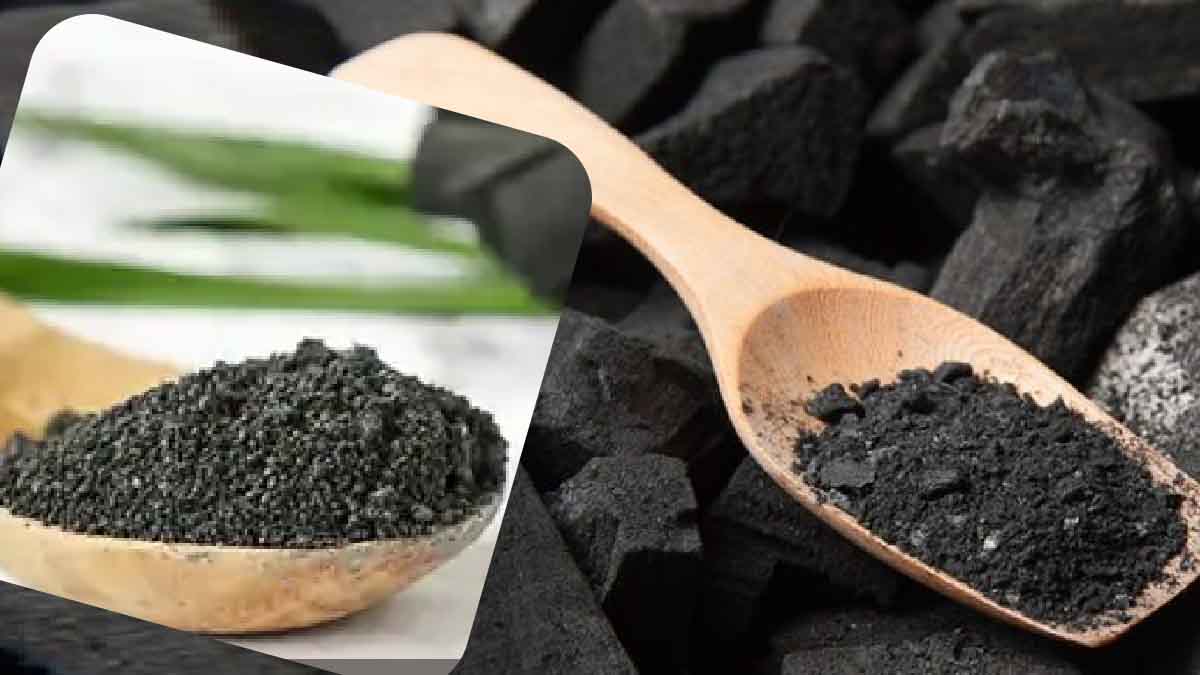Charbon végétal : un produit naturel très bénéfique pour la digestion