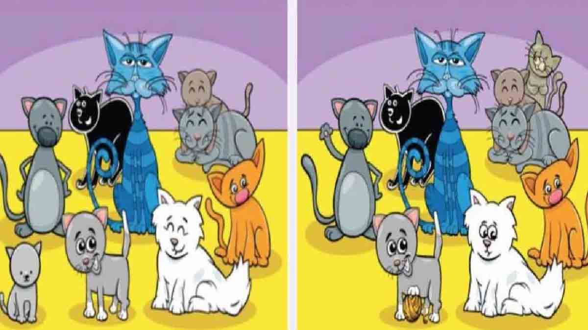 Si vous êtes une personne avec une vision laser, vous pouvez ...