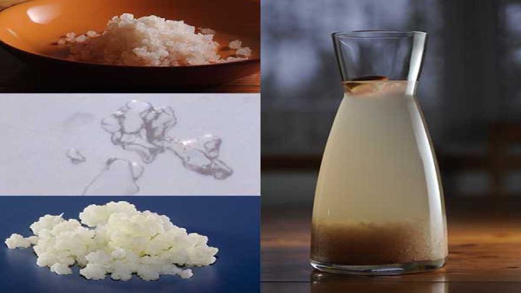 Kéfir d’eau : voici le guide complet pour préparer cette boisson ...
